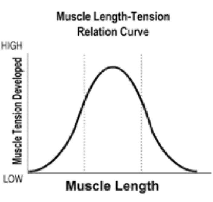 How to improve cycling technique - Physio On Miller - Physiotherapy ...